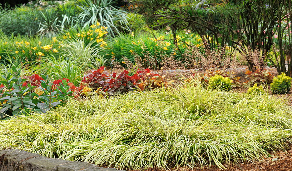 This Season's Obsession: Fall's Golden Grasses