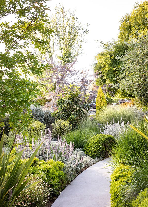 Modern Cottage Design: A Waterwise, Low- Maintenance Front Yard