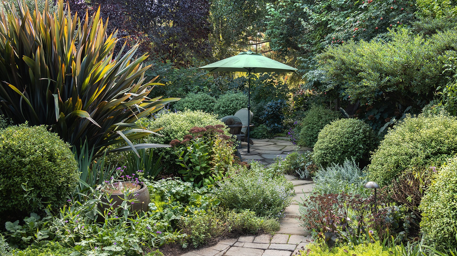 Heat-Loving Plants for Beautiful Summer Gardens