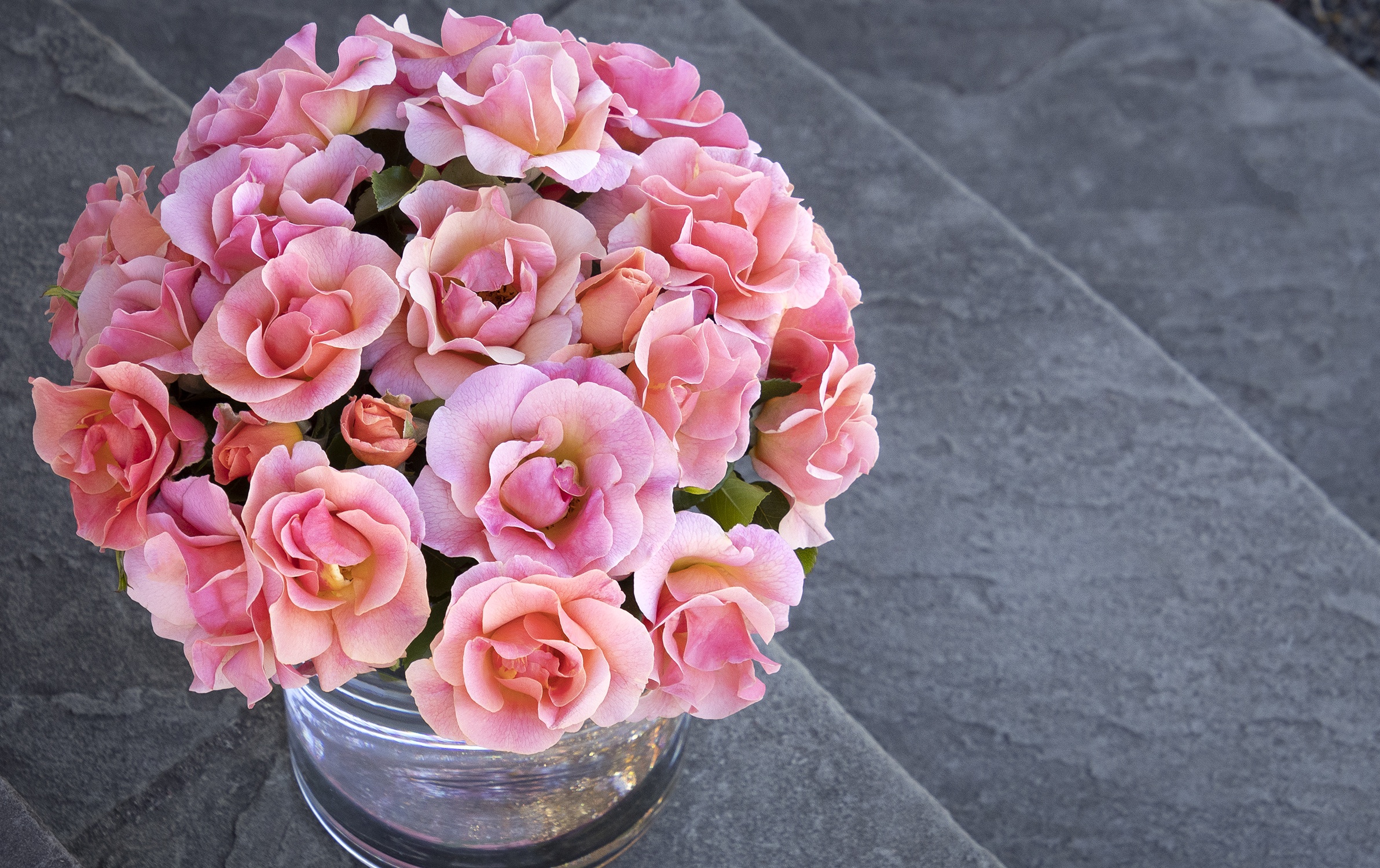 Nitty Gritty® Peach Rose, Rosa x 'RUIRI0091A' PP #33,152, Monrovia Plant