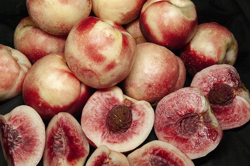 Arctic Sprite Miniature Nectarine, Monrovia Plant