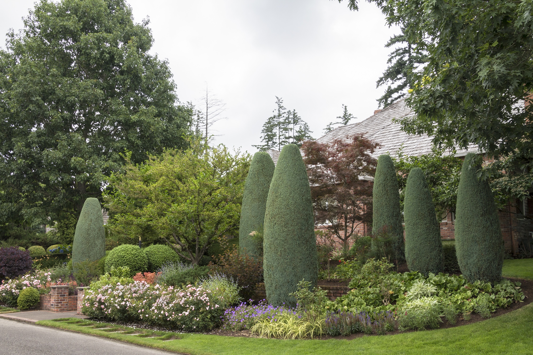 Gray Gleam Juniper, Juniperus scopulorum 'Gray Gleam', Monrovia Plant